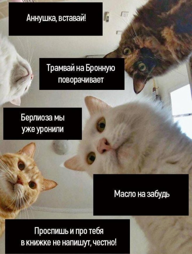 Наташа и мемчики